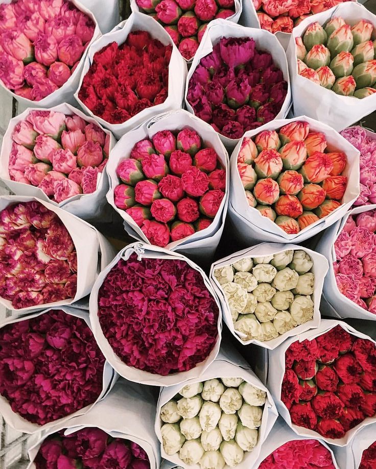 Florist Dubai | Fresh Flowers & Event Decoration | UAE