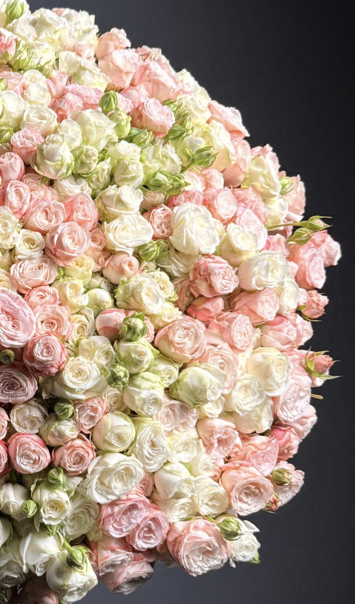 Bouquet Of 125 Multi Color Spray Roses - ROSE ART FLOWERS TRADING